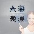 大海微课 