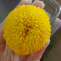 茶道与养生 