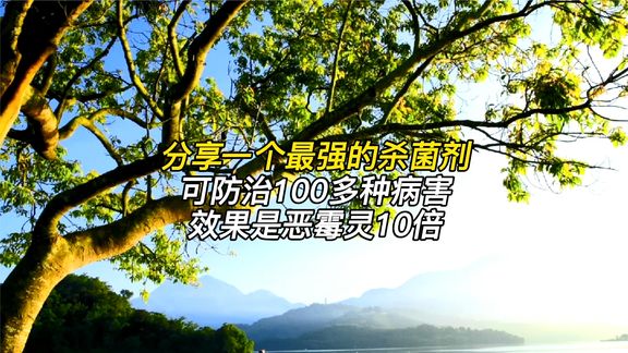 分享一个最强的杀菌剂,可防治100多种病害,效果是恶霉灵10倍