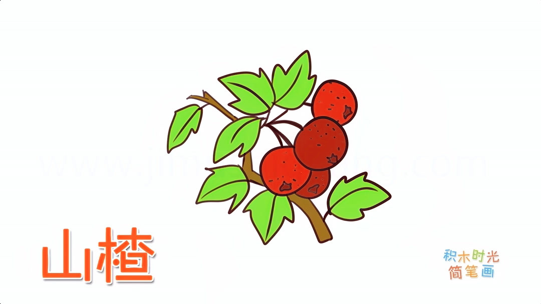 少儿水果简笔画大全,画树上的山楂简笔画,积木简笔画