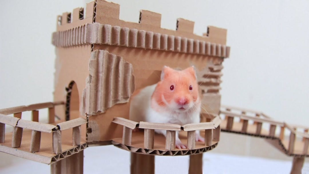 3只仓鼠追踪宝藏城堡迷宫