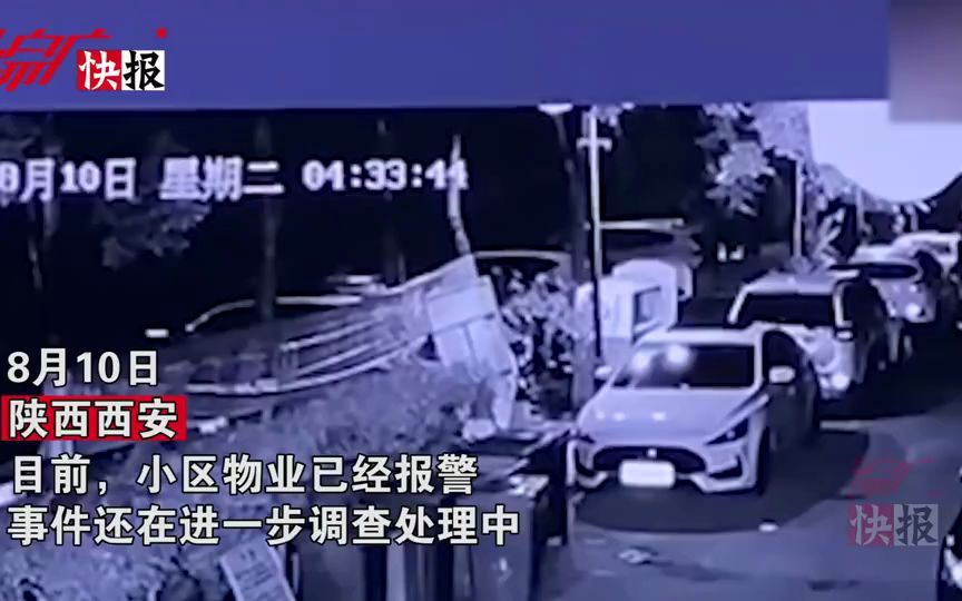 大批流浪狗夜袭西安某小区,十多只小猫被咬死,监控画面惨不忍睹