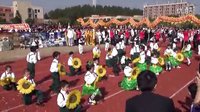 小学部仪仗队和舞蹈表演_中大附中三水实验学校世界之窗主题研究性...