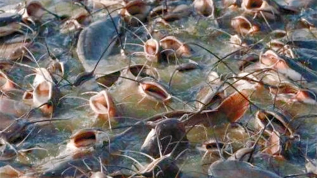 印度面临百年来最大灾害,求助美国却被拒,美国:去找中国吧!