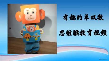 幼儿园数学游戏趣味单双数