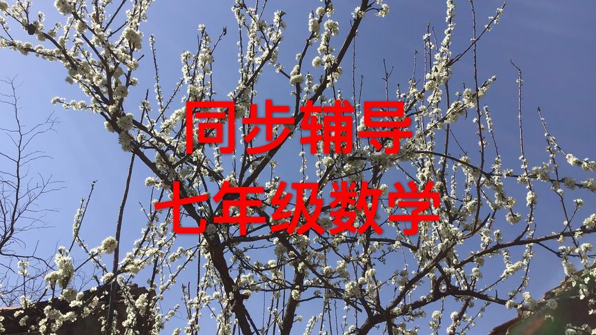 多项式除以单项式的典型例题精讲