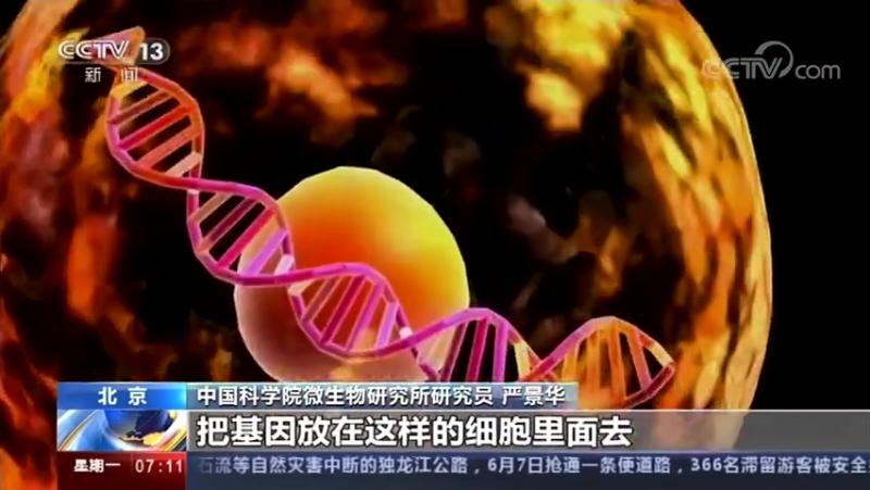 【新冠肺炎治疗性抗体已进入临床试验】5日,中科院微生物研究所研制...