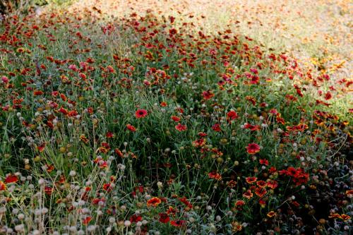 让一个人心灰意冷 