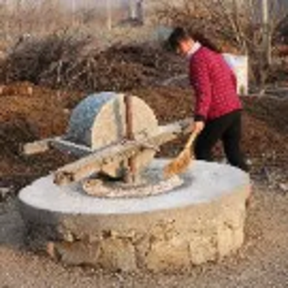 我的幸福小生活 