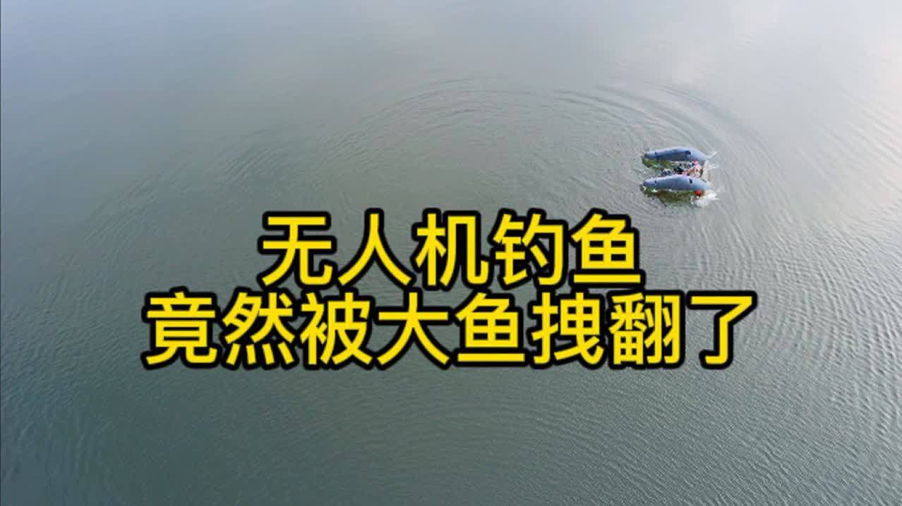 飞行梦之家小石头