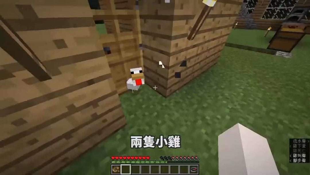 我的世界:两只小鸡,到我家来了,你是自投罗网
