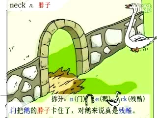 单词不用记,neck