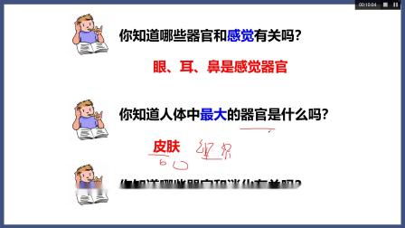 七上 2.3生物体的结构层次(第二课时)教学视频