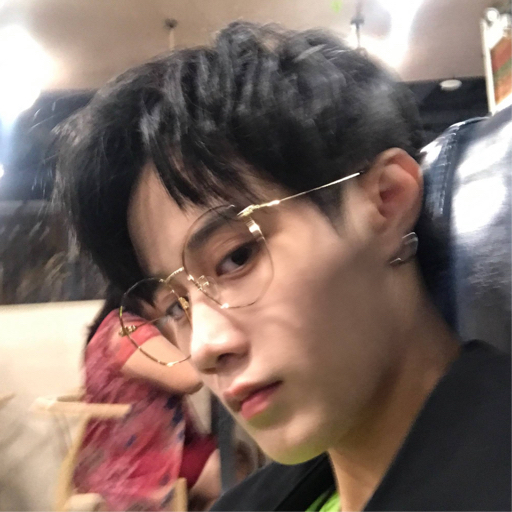 洪小草Human 