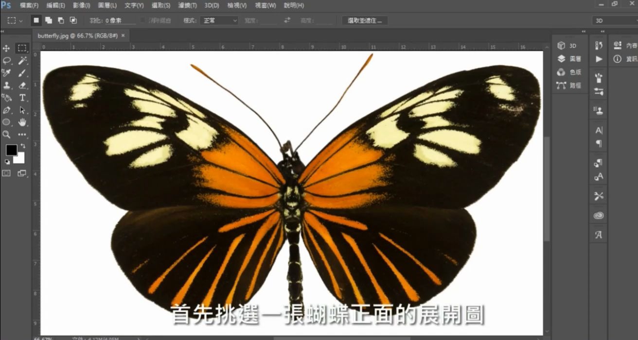 Blender 2.8 蝴蝶飞舞动画