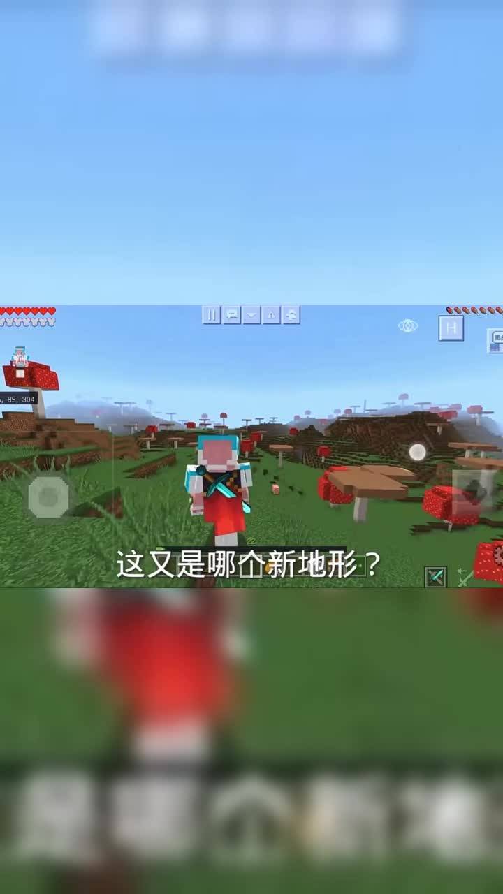 我的世界:这是什么地形