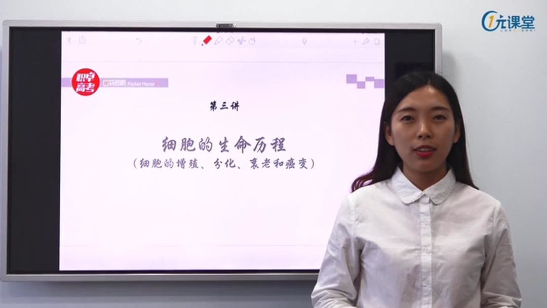 高考生物:细胞的生命历程