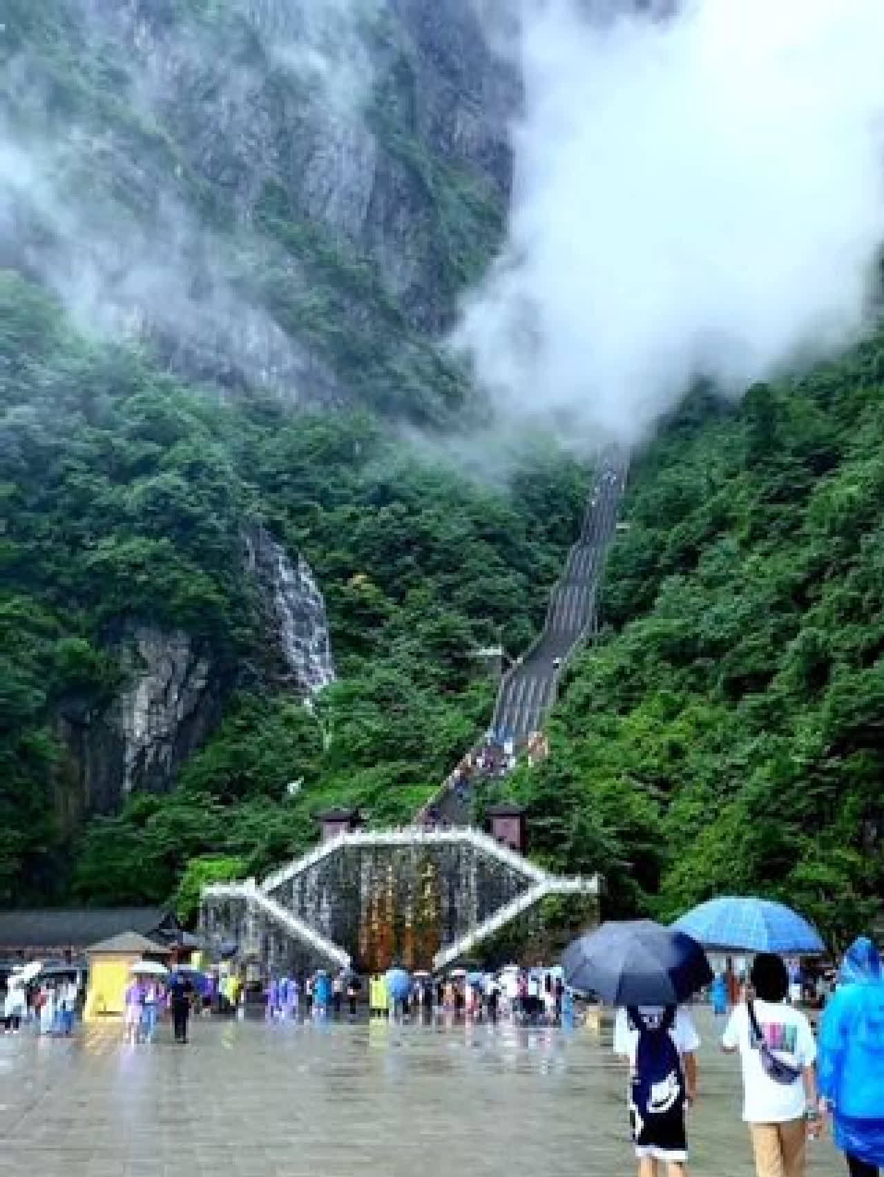 如果您出门旅游,是选择随团还是自由行.#旅行大玩家 #张家界 #旅游攻略