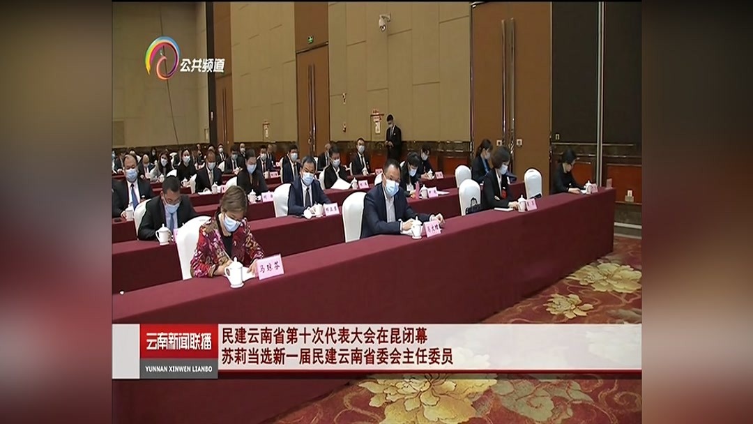 民建云南省第十次代表大会在昆闭幕 苏莉当选新一届民建云南省委会...
