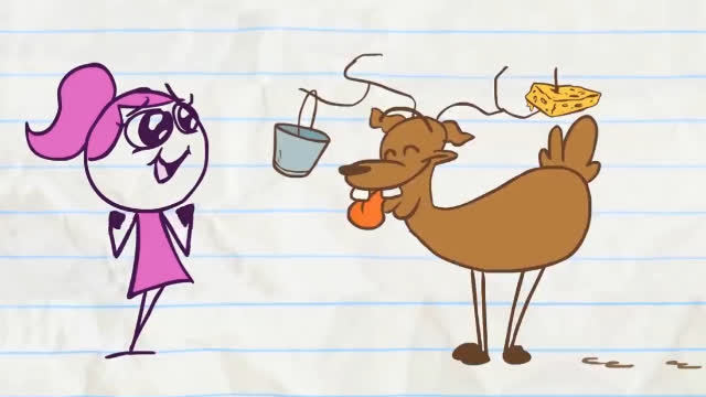 小美做晚餐却进来一群小动物,将家里搞得很脏,小美快被疯了