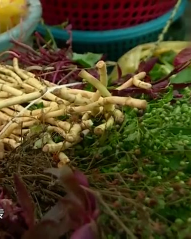 吃鱼腥草真的会致癌吗?看看专家怎么说,听着就吓人