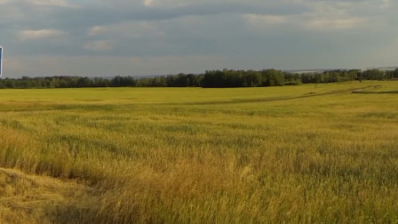 俄罗斯的农民,为何不热衷种植农作物,反而让土地渐变荒废呢?