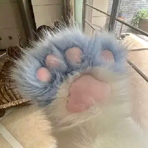 四耳浅辰 