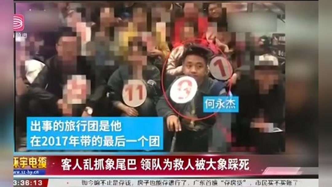 客人乱抓象尾巴 领队为救人被大象踩死