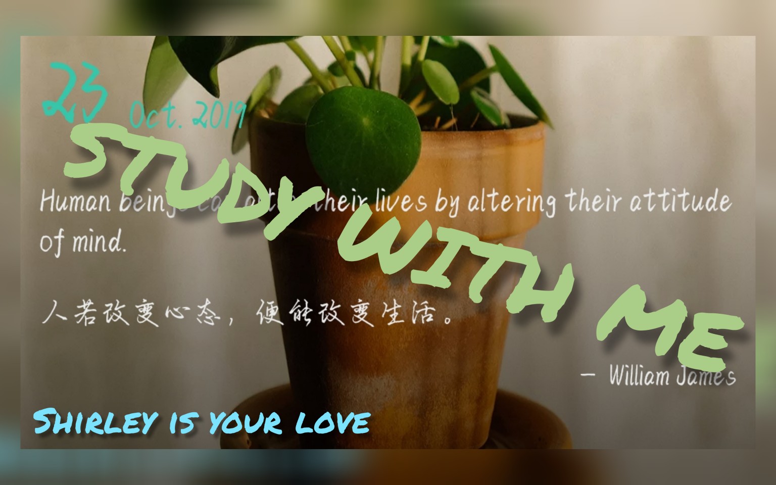 STUDY WITH ME丨10.23学习记录-愿这世上每个人都能为自己活着