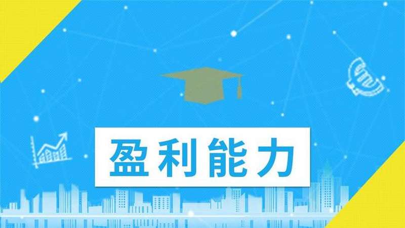 盈利能力的概念