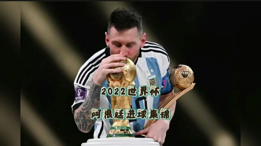 2022世界杯阿根廷进球集锦#卡塔尔世界杯 #潘帕斯雄鹰