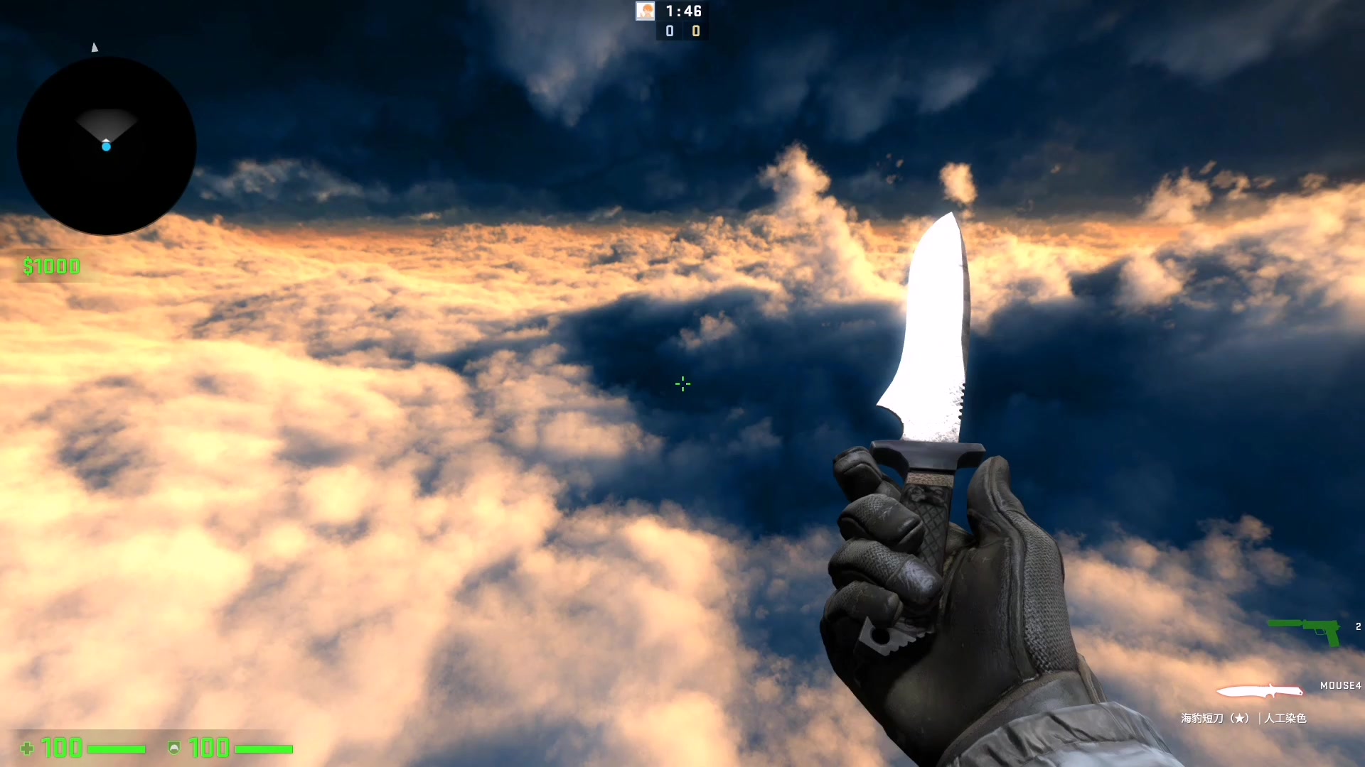 海豹短刀-人工染色皮肤