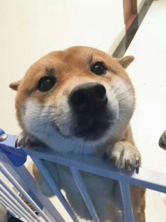 一点都不帅的小法 