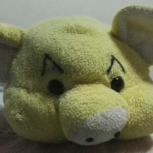 youarepigtoo 