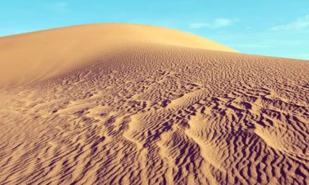 地球上的沙漠都变成森林,会有什么后果?看完大开眼界