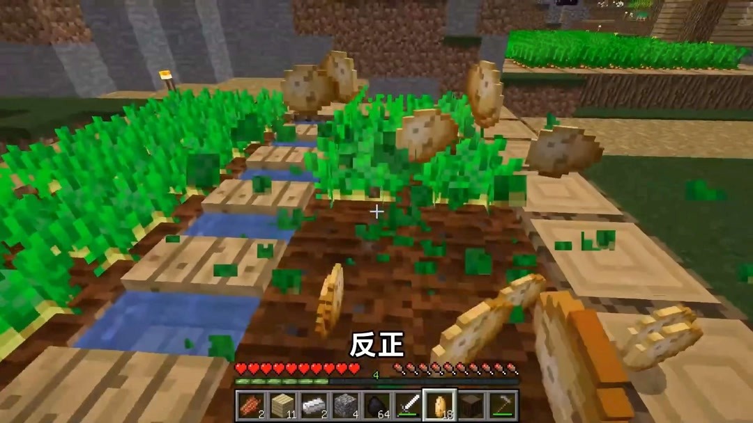 我的世界:如何实现全自动农田发家致富?