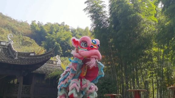 #舞狮 #醒狮文化 #醒狮表演