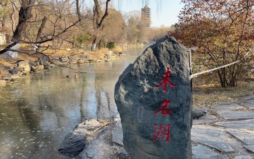 ...上网课、一个人逛校园:掉光叶的枯枝、结冰的湖、乱跑的猫咪、空教室