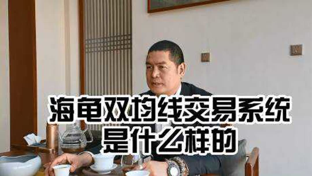 海龟双均线交易系统是什么样的
