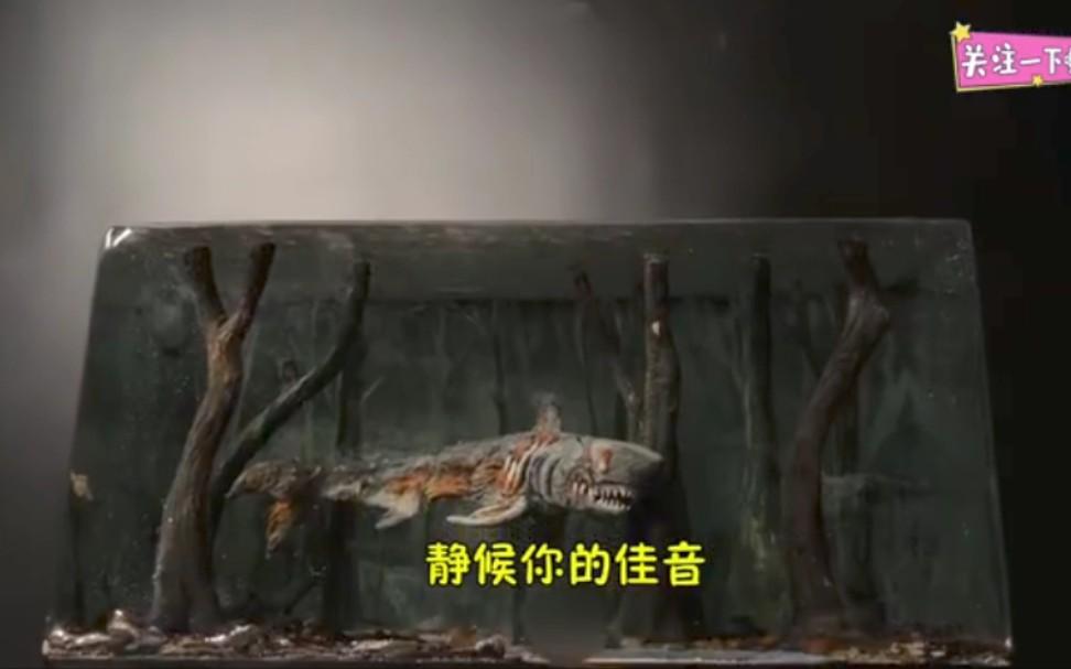 制作海洋森林模型