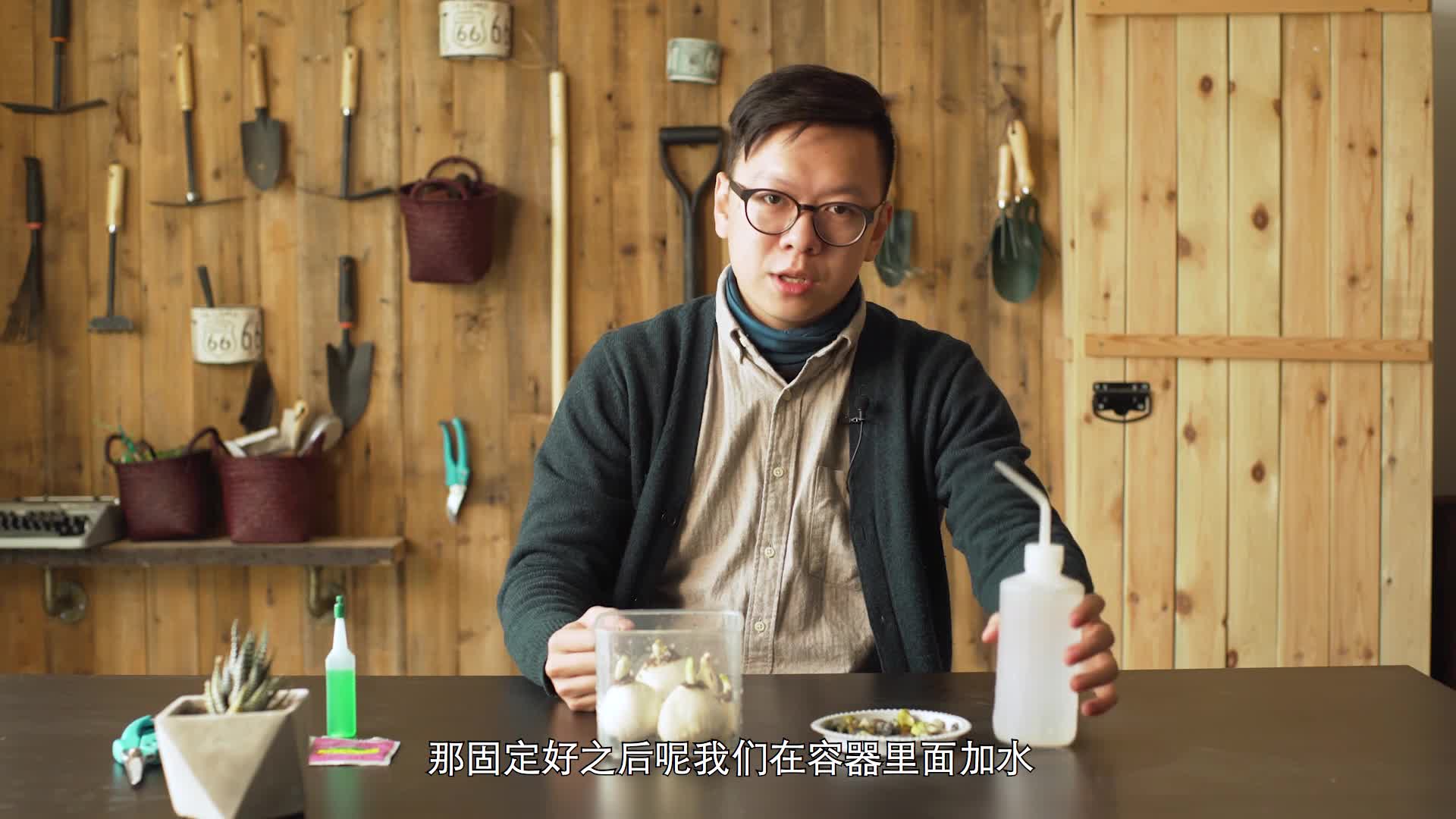 3分钟讲解“正确的”球根植物水培方法,这样会让水仙花开的更好