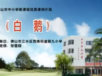 四年级语文微课教学片段示范《白鹅》(合作类)