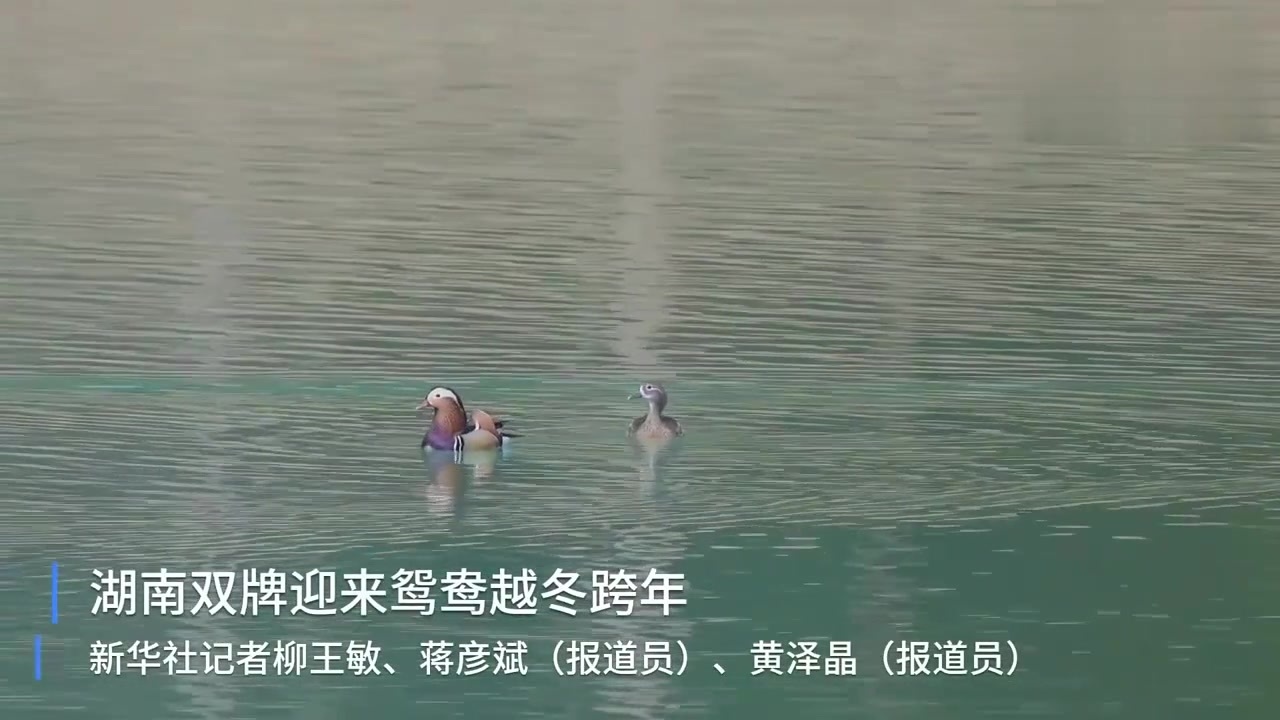 双牌县生态环境保护综合行政执法大队电话号码是多少