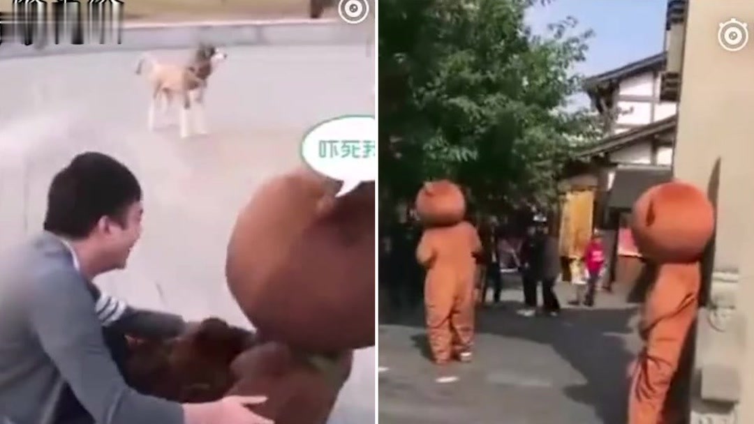 哈哈哈哈哈,这个发宣传单合集笑死啦