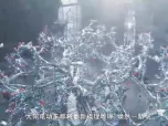 大阳电动车励精图治再次亮剑!