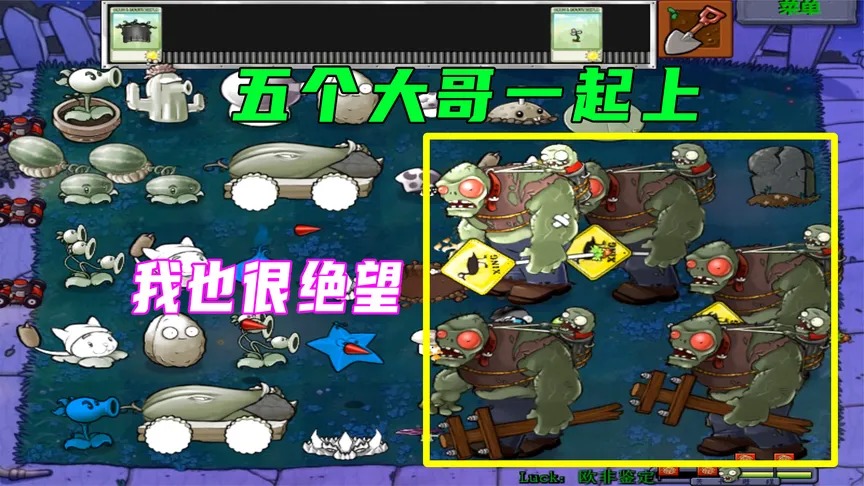 植物大战僵尸:欧非鉴定,不服来战