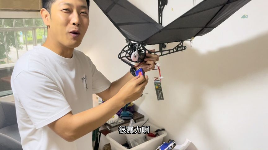 扑翼飞行器第八集:问题太多,没有标题,只剩下头疼了