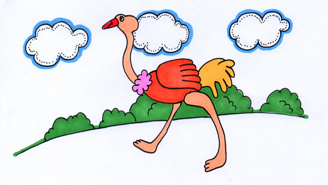 鸵鸟这样画真简单!