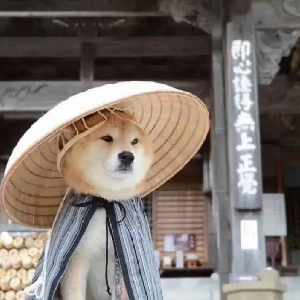 寒冷的冰川 