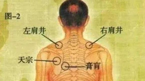 能缓解上肢疲劳改善肩部功能的人体要穴肩井穴